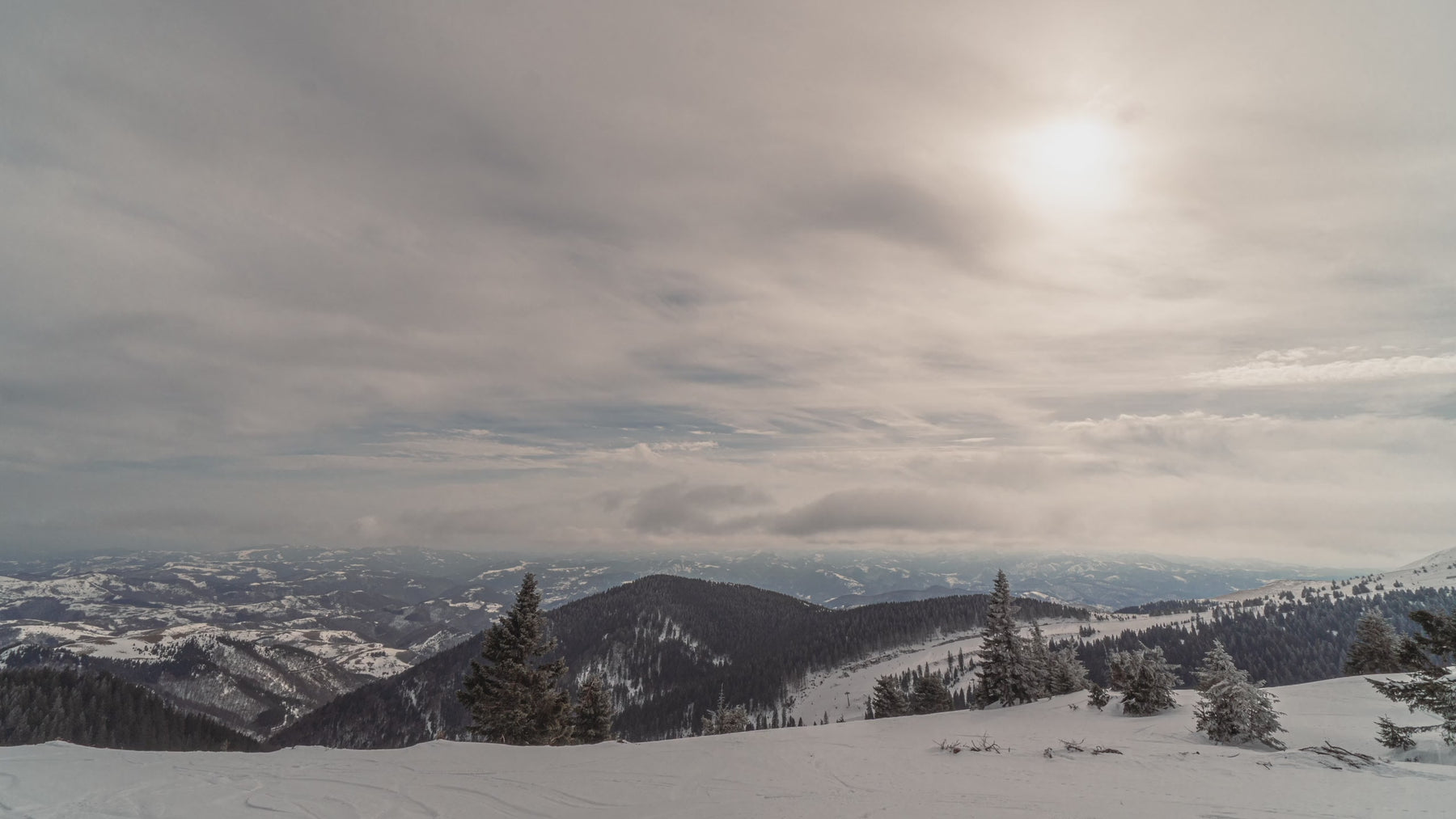 Michigan Mitten Company | Welcome